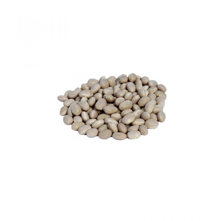 Poroto Blanco 250 gr - TodoBaratoTC